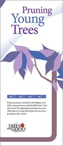 International Society of Arboriculture